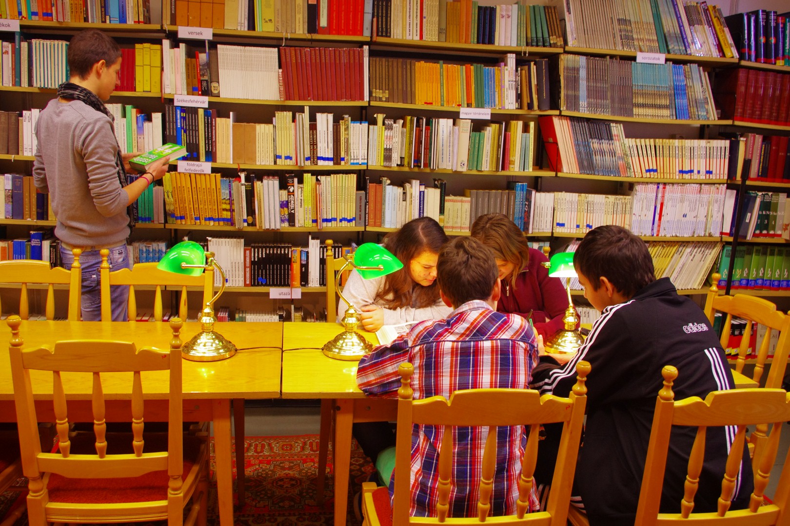 Vörösmarty Mihály Általános Iskola - Székesfehérvár- Ligetsor - Szárazrét